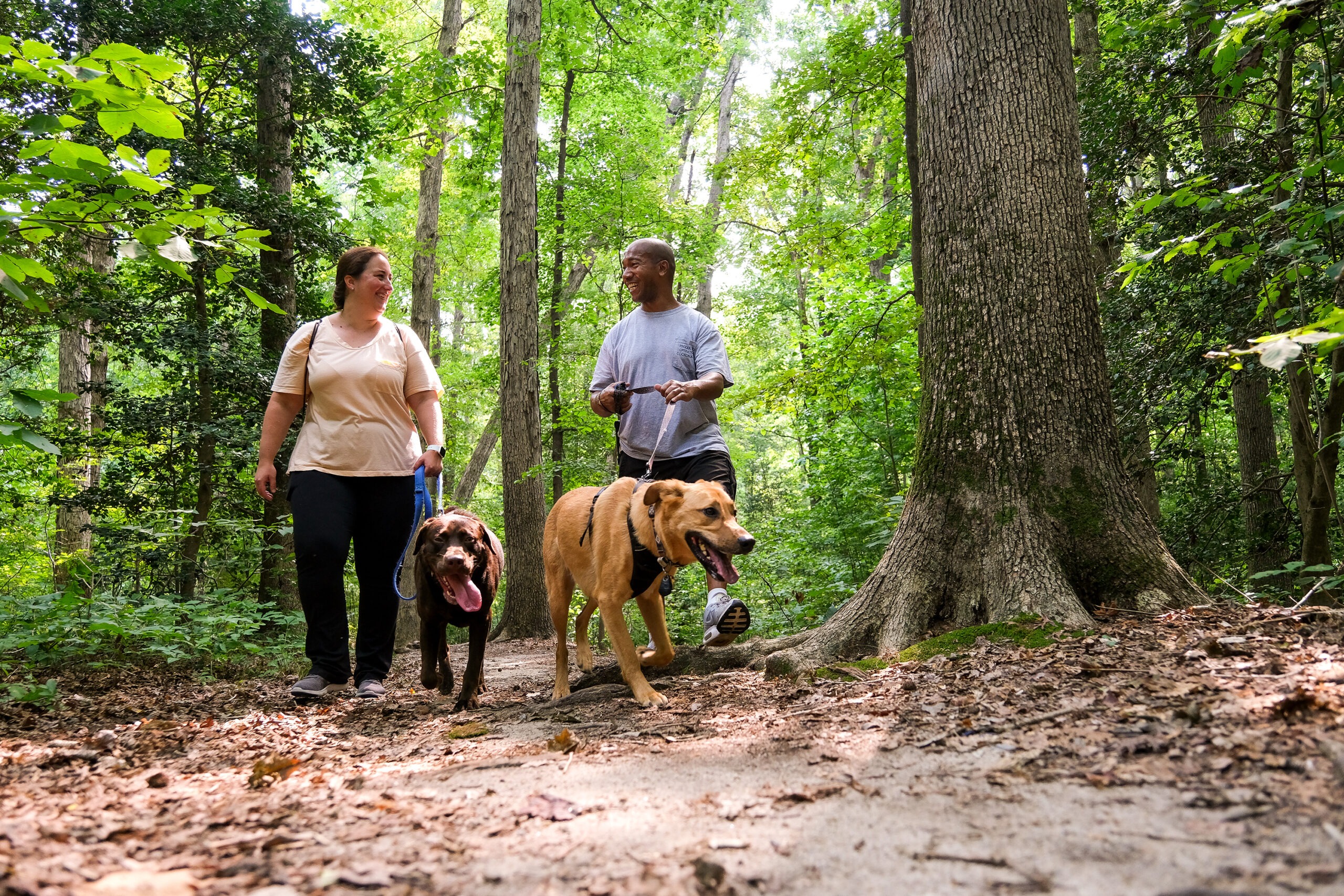 Welcome to Chesterfield, Virginia - Experience Chesterfield