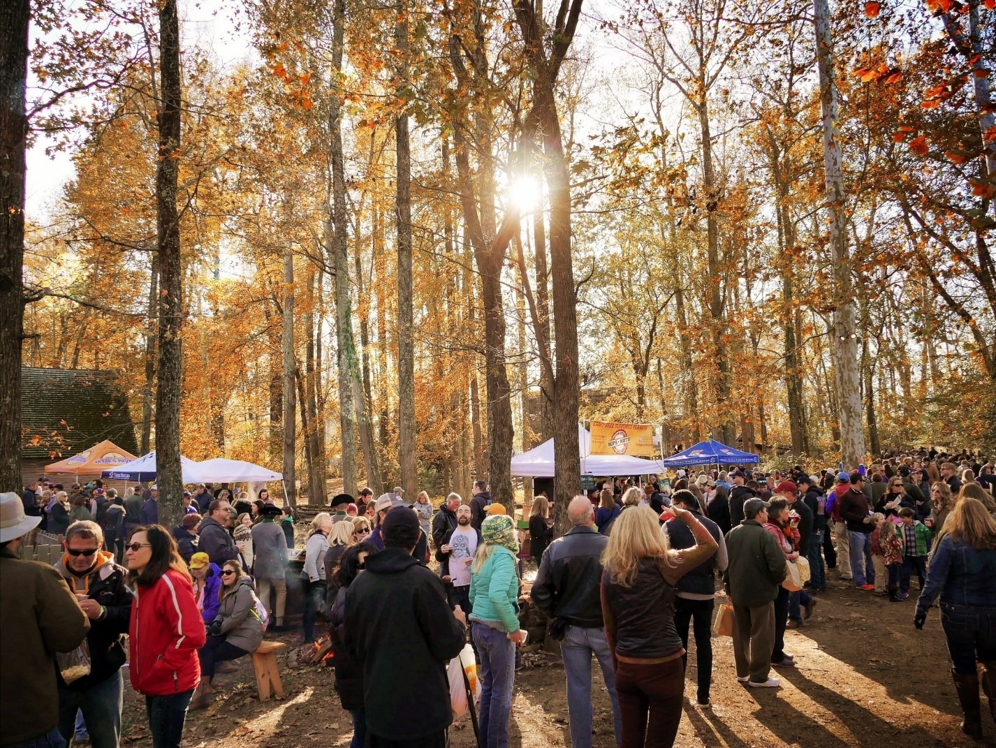 A Guide to Henricus Historical Park - Experience Chesterfield