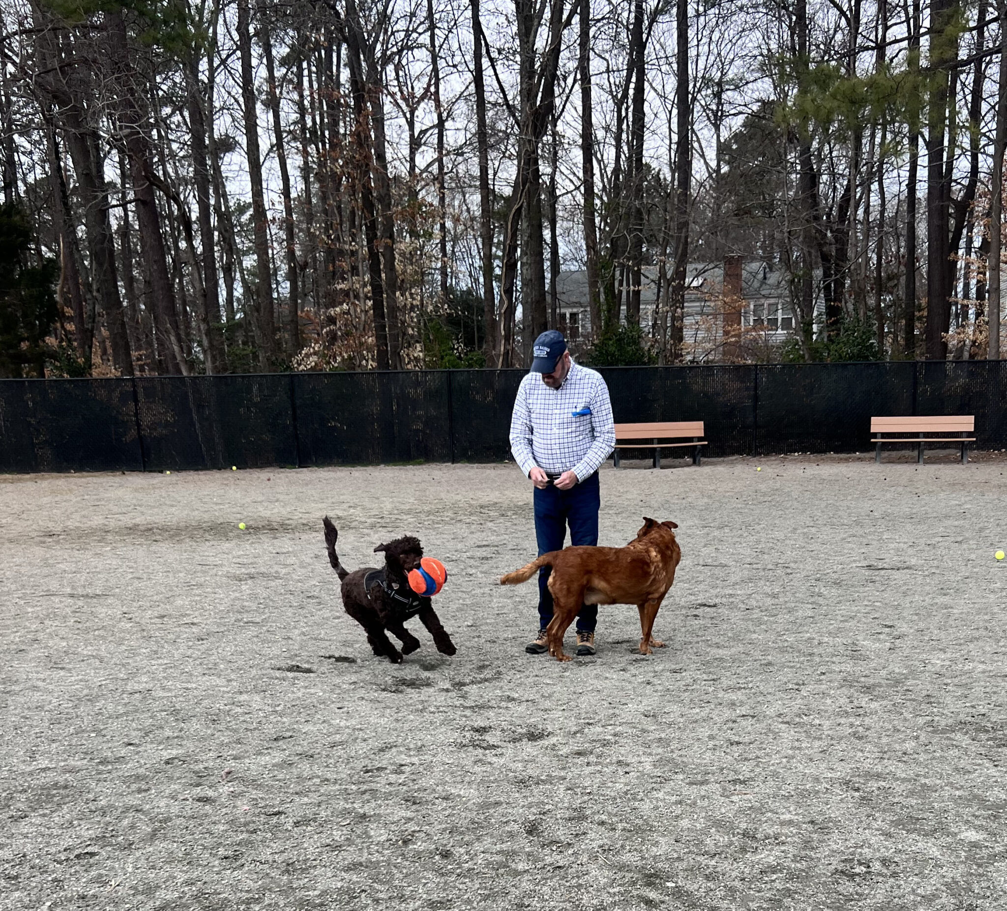 Dog Parks in Chesterfield County - Experience Chesterfield