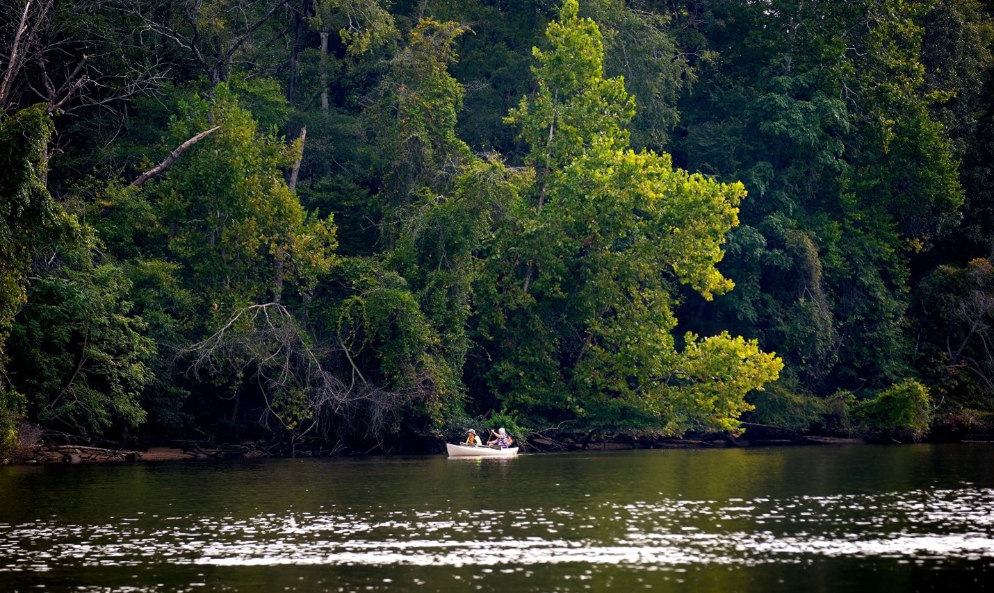 Dutch Gap Conservation Area Guide - Experience Chesterfield