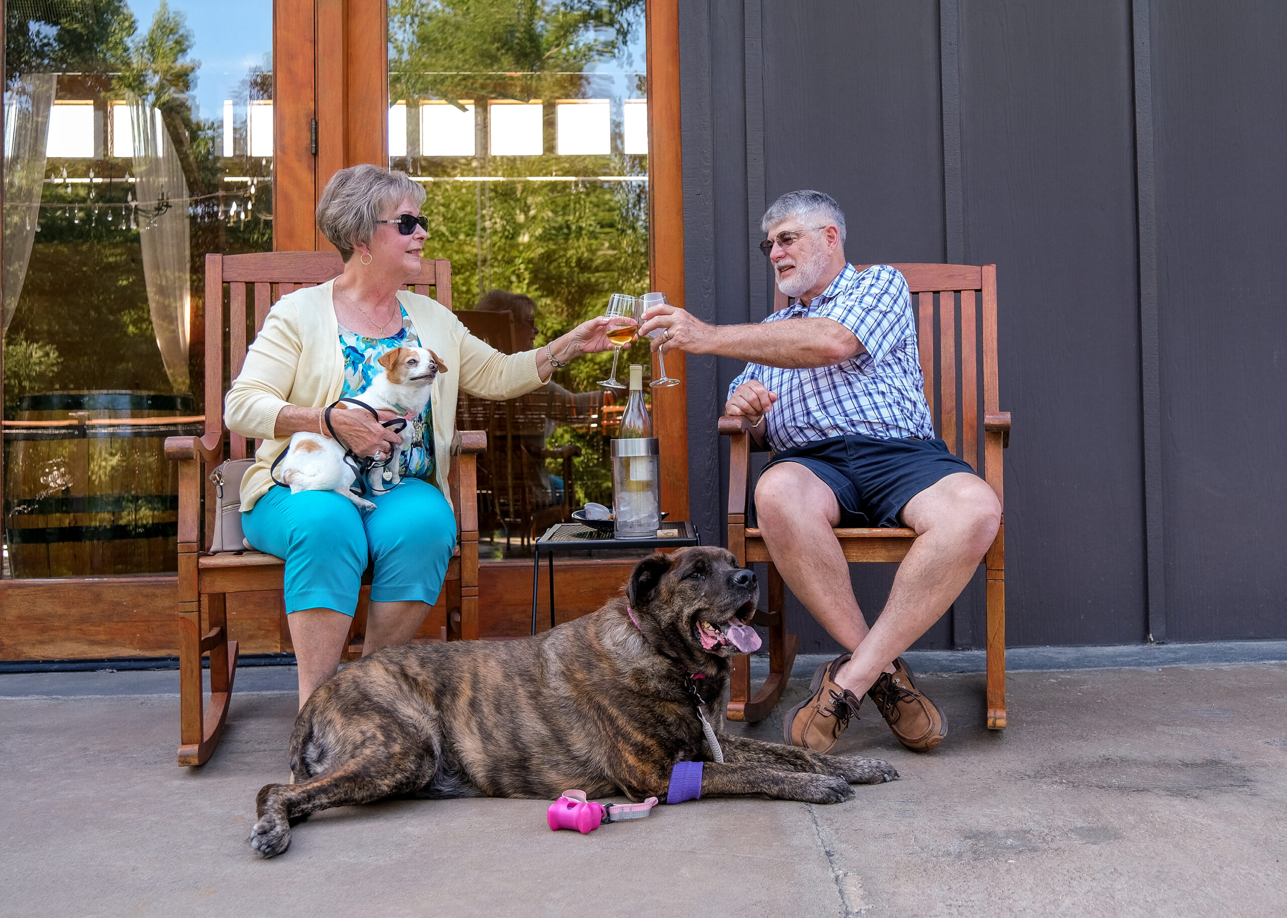 Bone Appétit | Dog-Friendly Chesterfield Restaurants - Experience ...